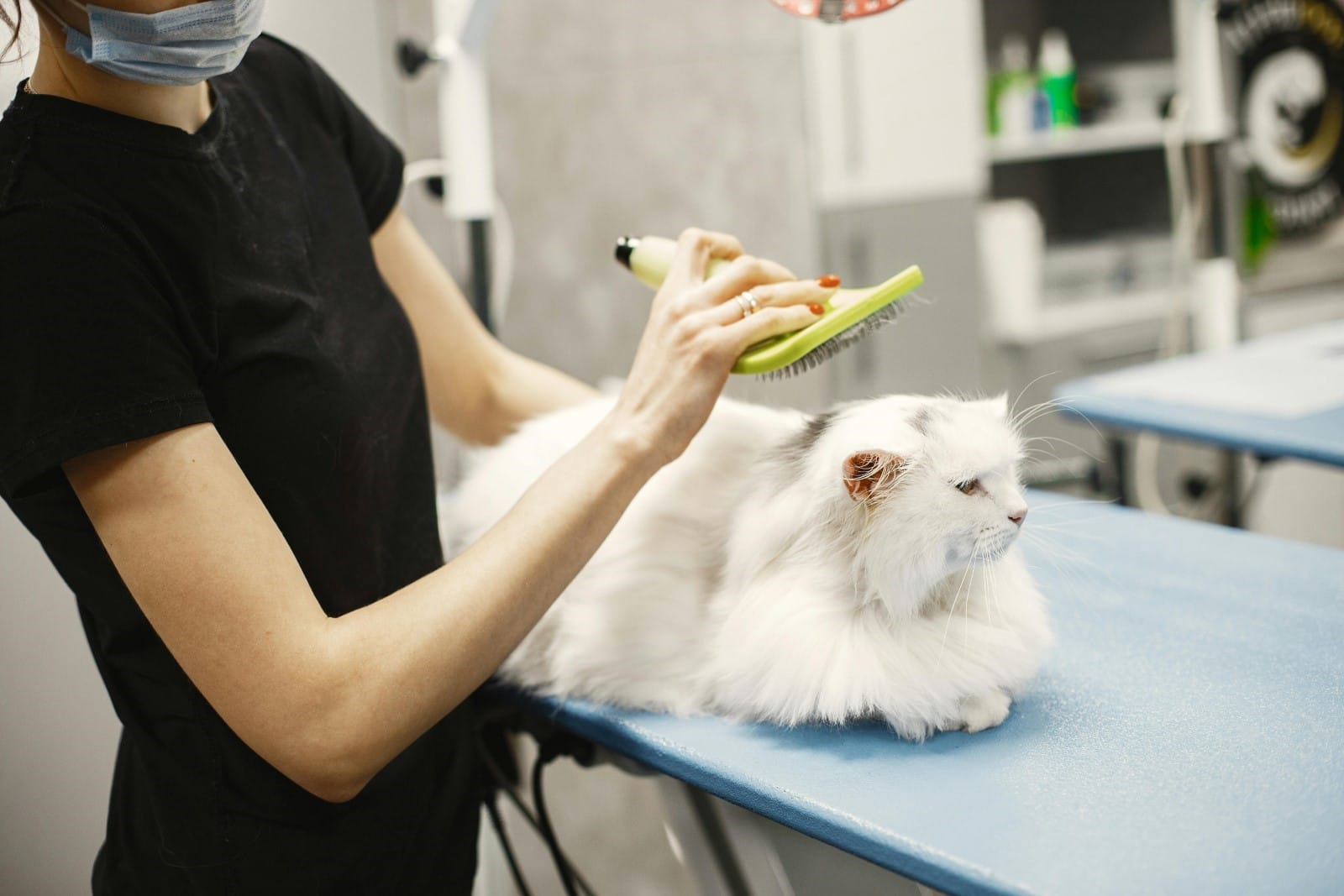 7 Must-Track Vet Clinic KPIs to Grow Your Practice | viggoVet